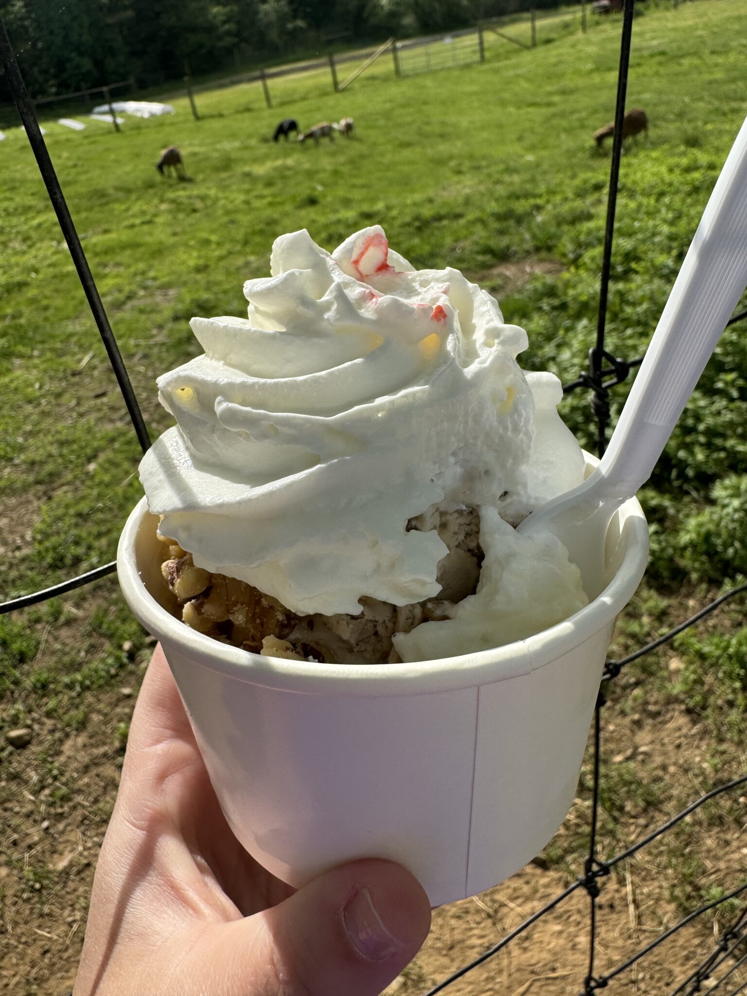 The Scoop on the Best Fairfield County Ice Cream Shops