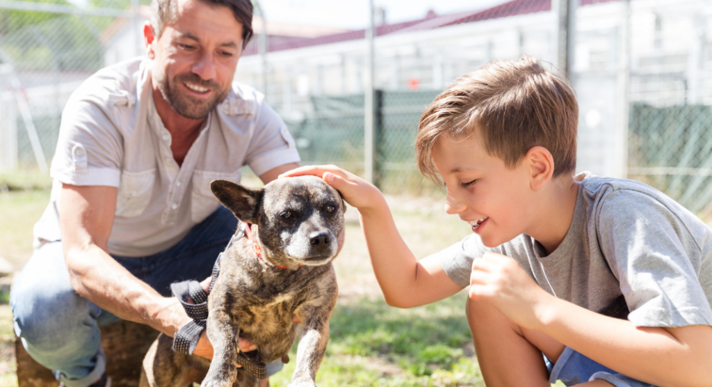 Learning Social Skills With Pets